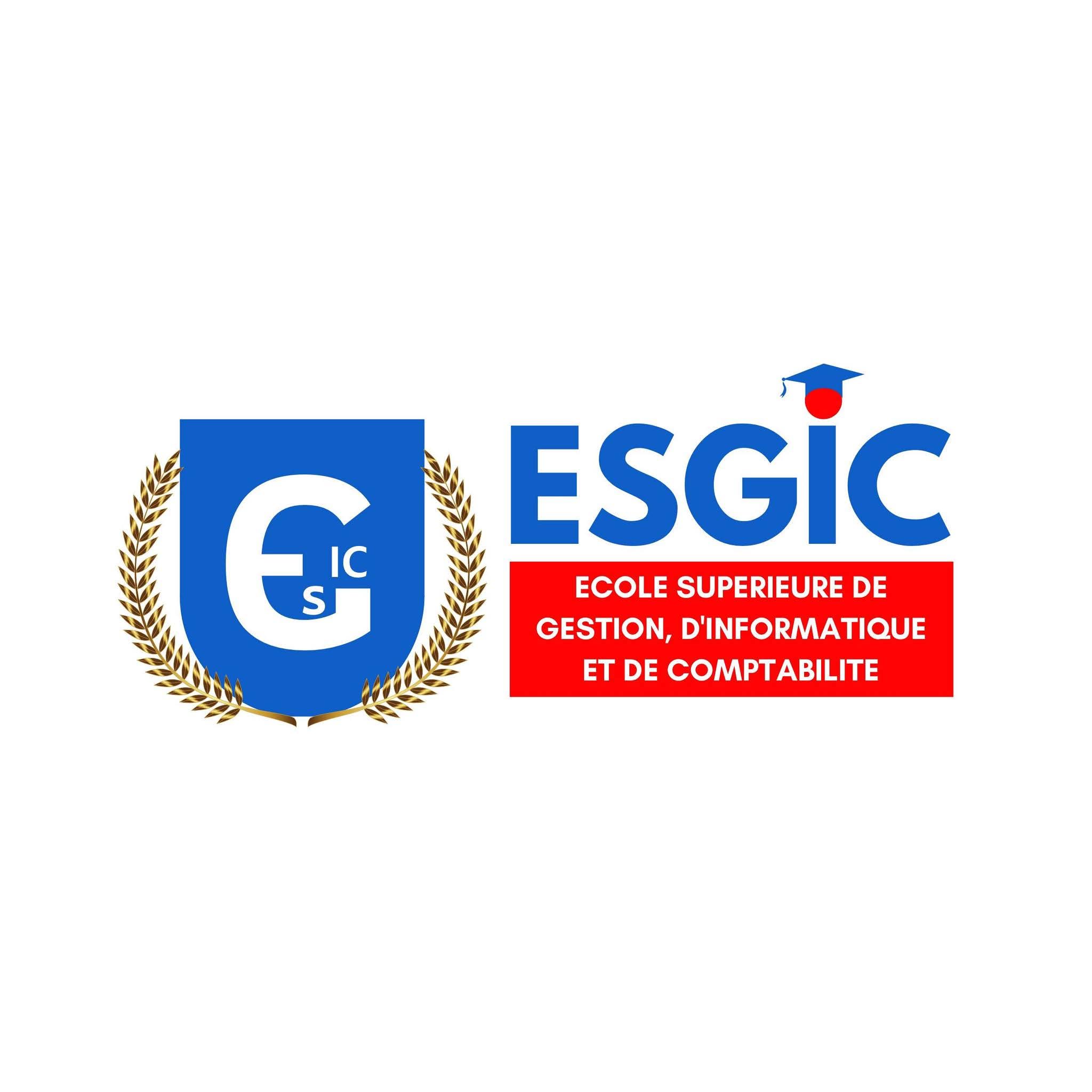 ESGIC : L’école du savoir et de l’excellence portée par Dr Diakaridja ...
